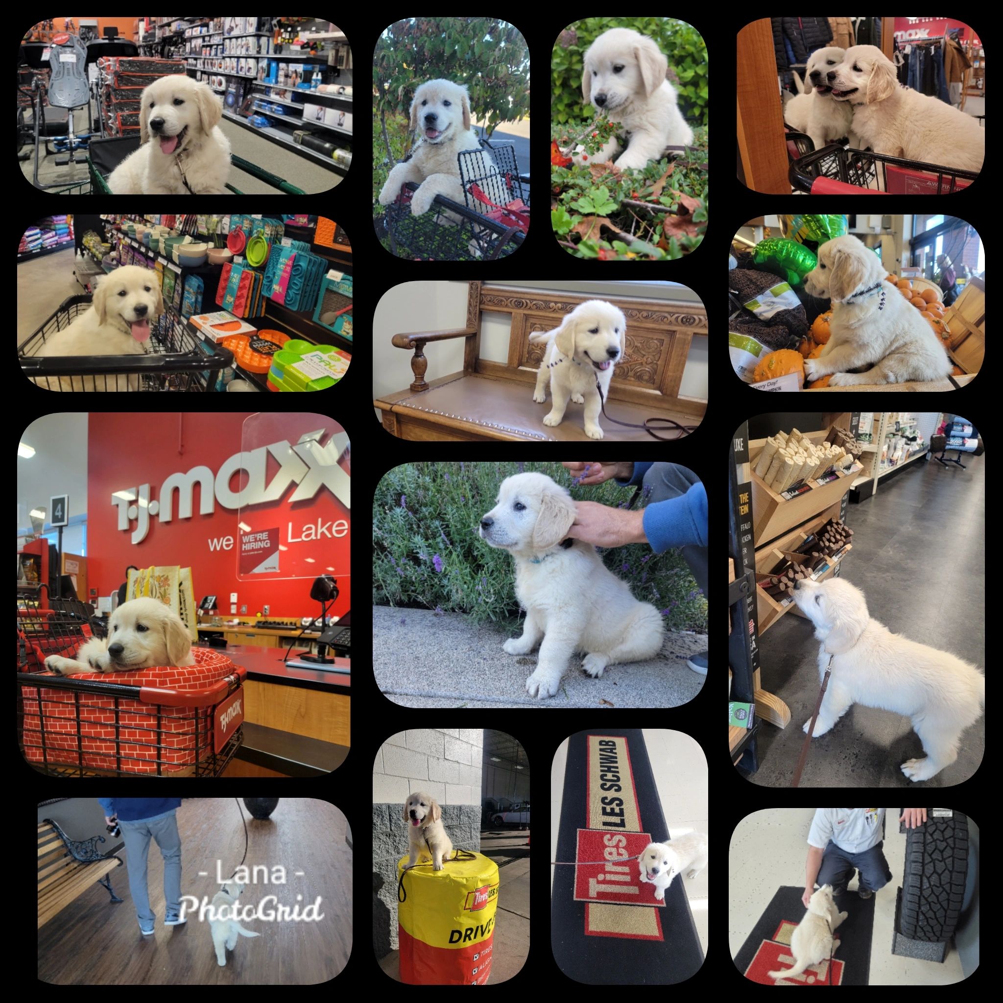 Alpine L Valley Ranch